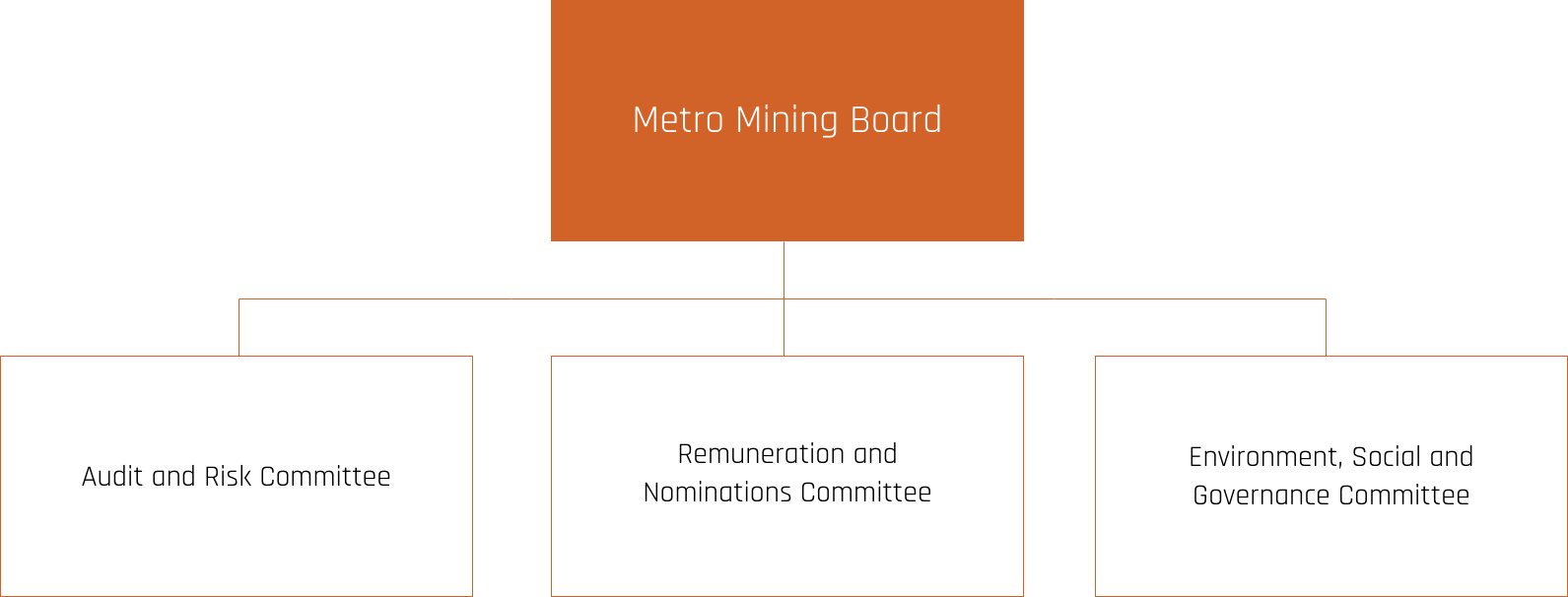 Corporate Governance - Metro Mining